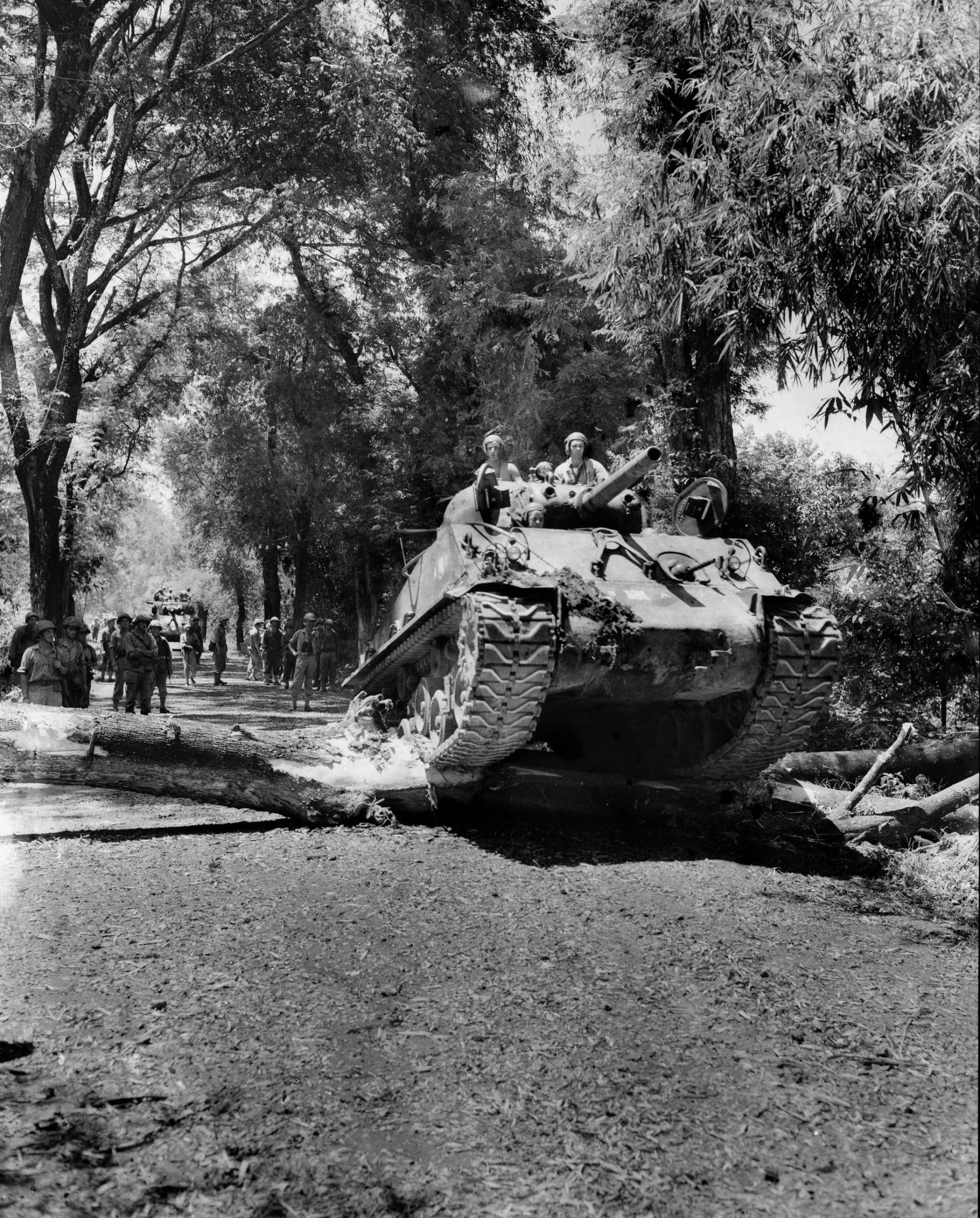 Ridder der Militaire Willems Orde - Mariniersmuseum